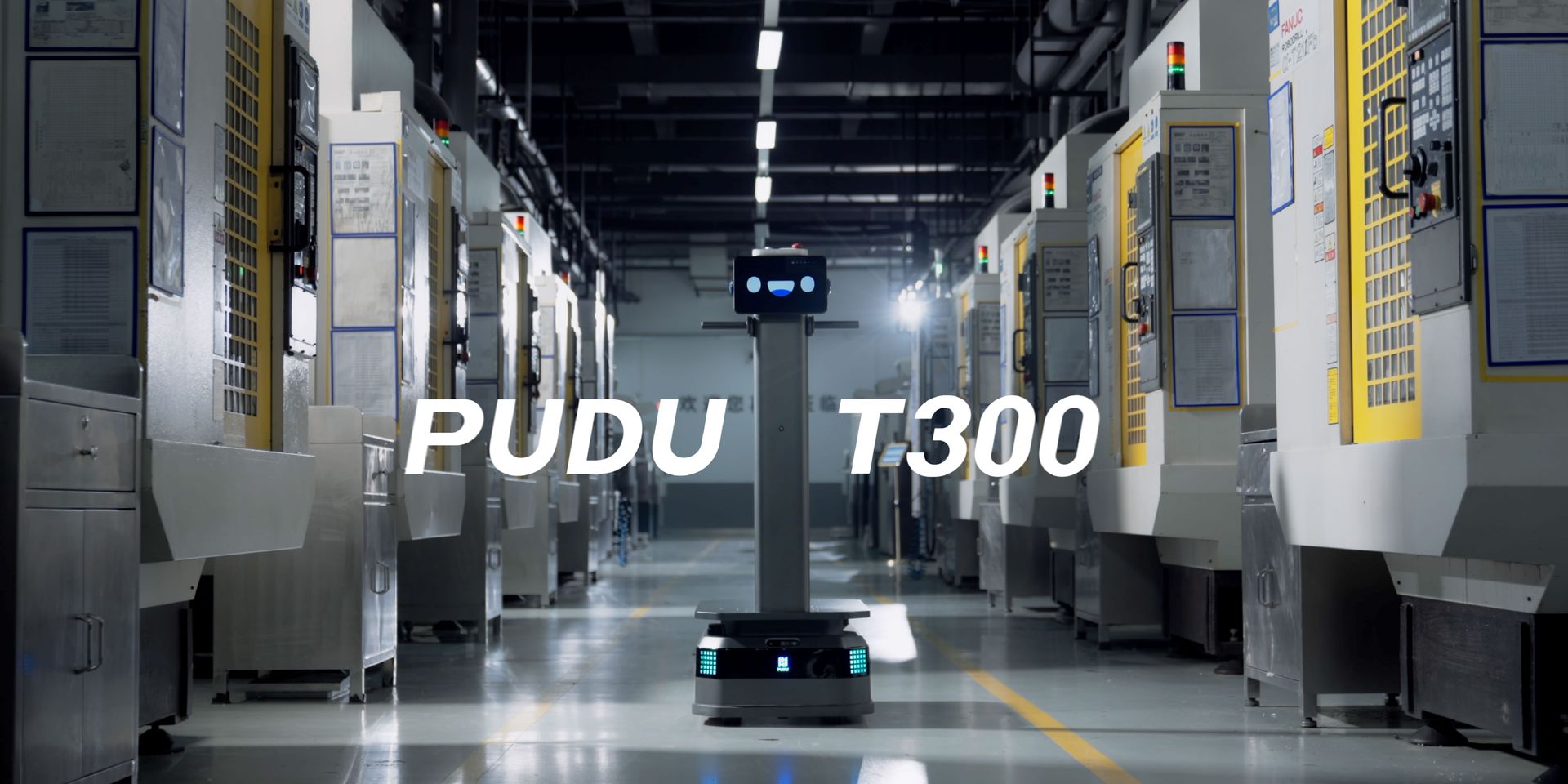 Robot T300